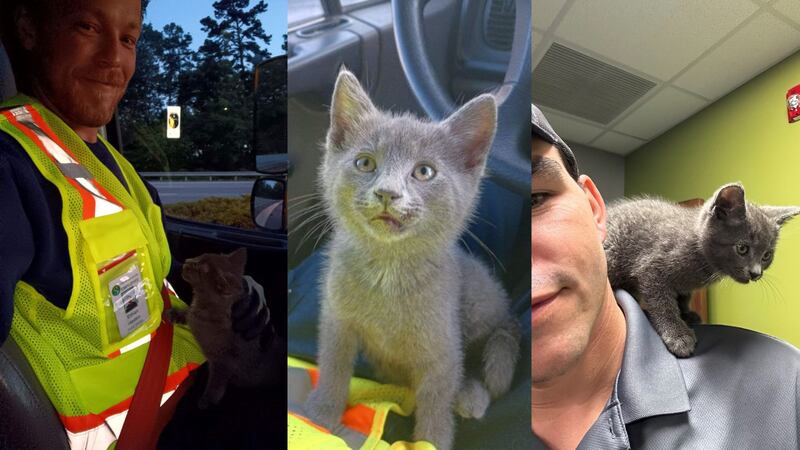 Public Works crews rescue kitten while landscaping along highway Public Works crews rescue kitten while landscaping along highway